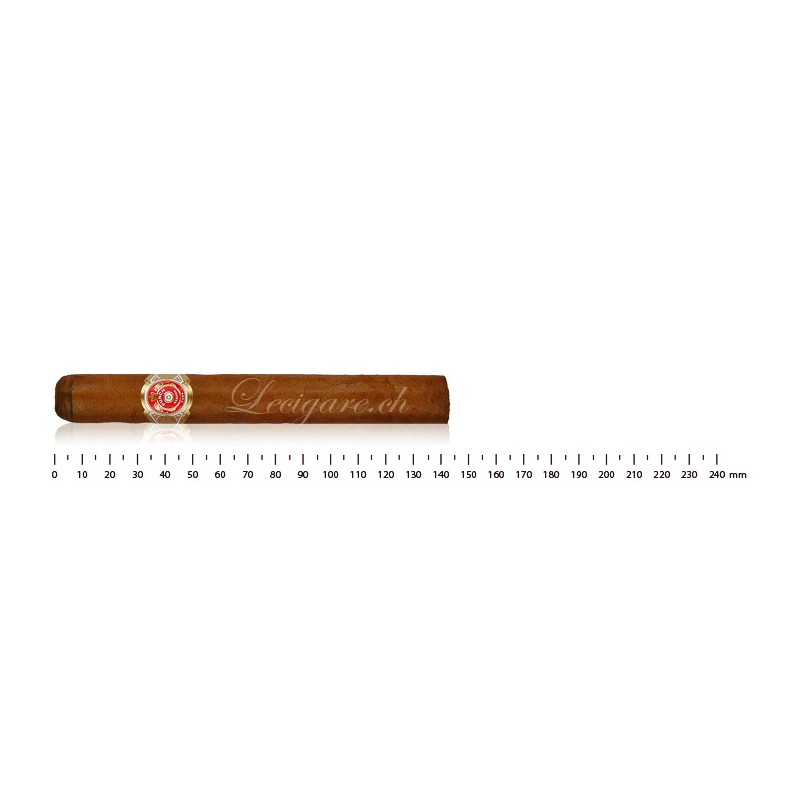 Punch Punch Cigar - Box of 25 cigars